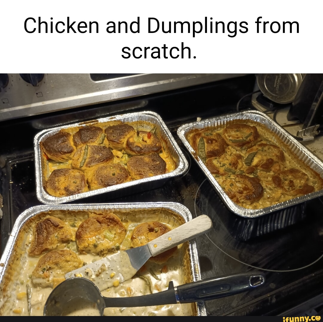 Dumplings memes. Best Collection of funny Dumplings pictures on iFunny