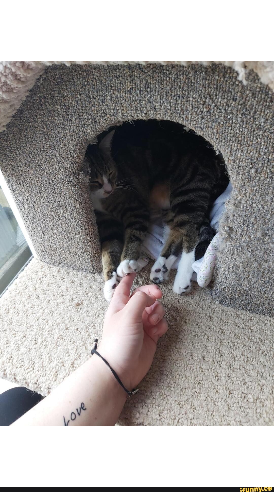 Swiffer memes. Best Collection of funny Swiffer pictures on iFunny