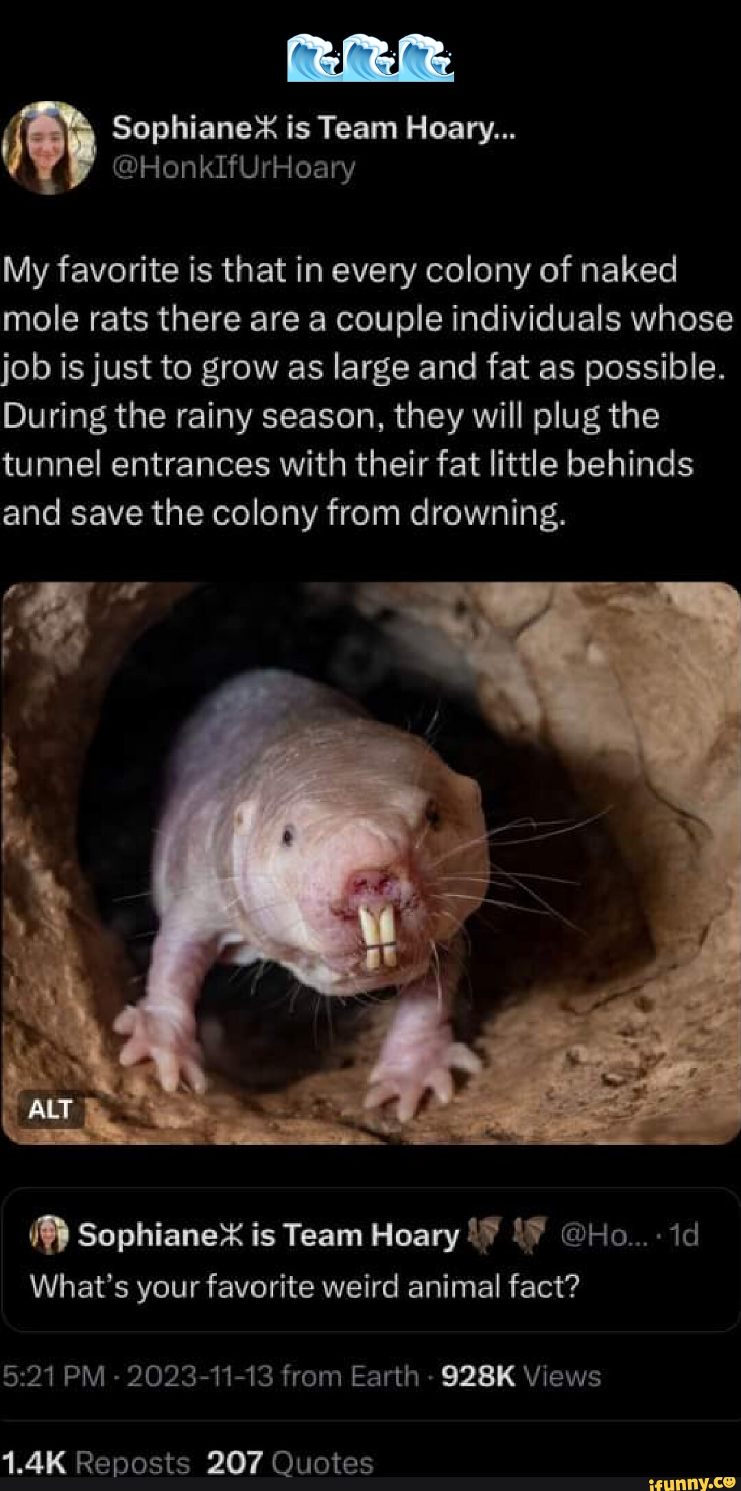 Te There is ImPostor among us @NBAMEMES - iFunny