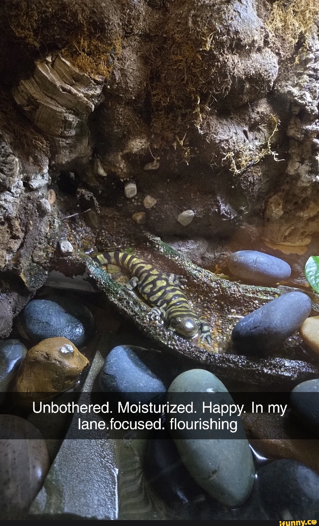 Dude, are you real? That's actually some pretty solid evidence Ren ...