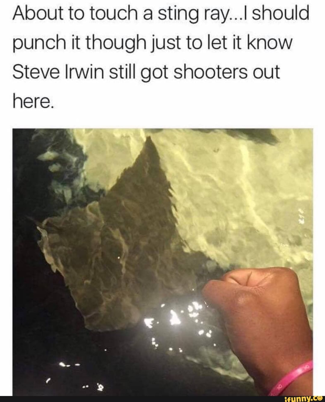 Rays Mascot Steve Irwin