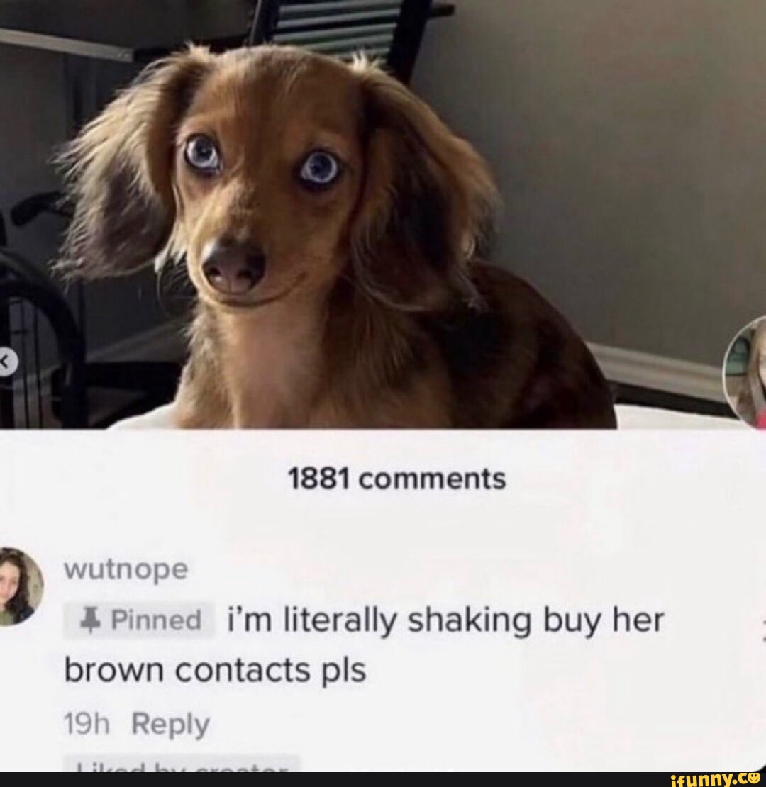 Shaking memes. Best Collection of funny Shaking pictures on iFunny