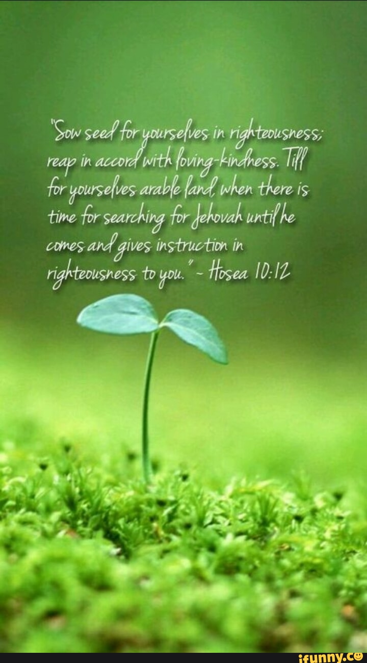 Seed memes. Best Collection of funny Seed pictures on iFunny