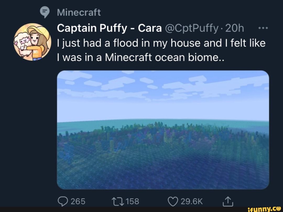 Minecraft Captain Puffy - Cara @CptPuffy. I just had a flood in my ...