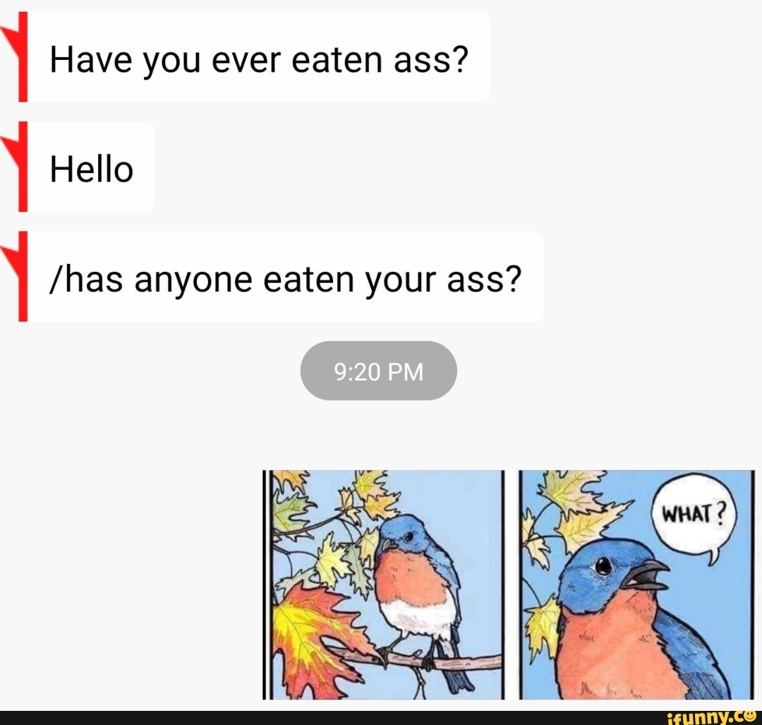 Have you ever eaten ass? 1 Y Hello Y /has anyone eaten your ass? - iFunny