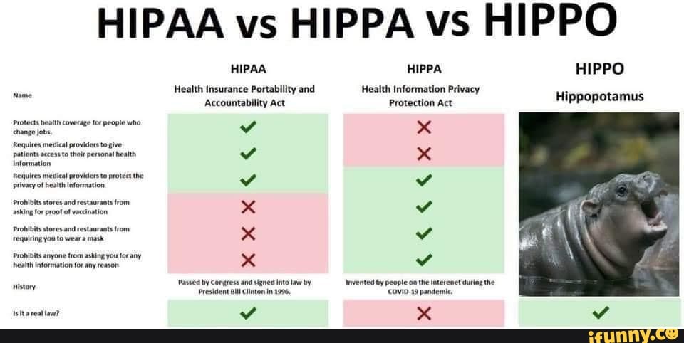 Hipaa Hippo