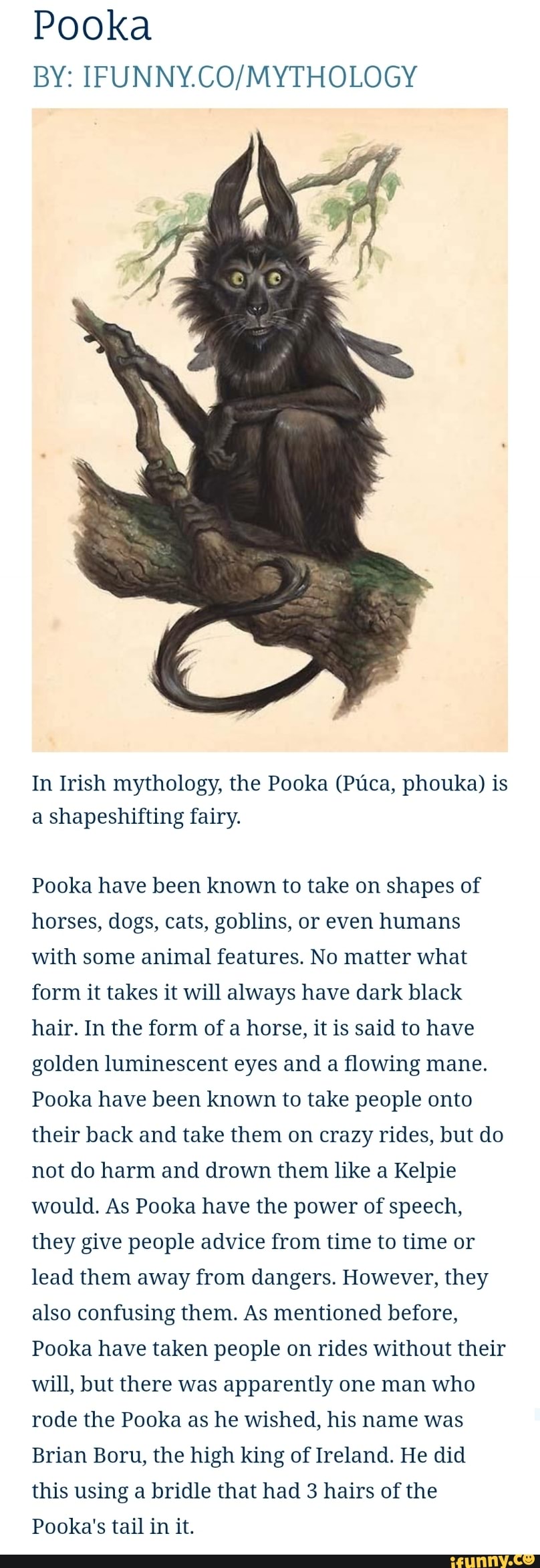 Pooka BY: IFUNNY.CO/MYTHOLOGY In Irish mythology, the Pooka (Ptca ...