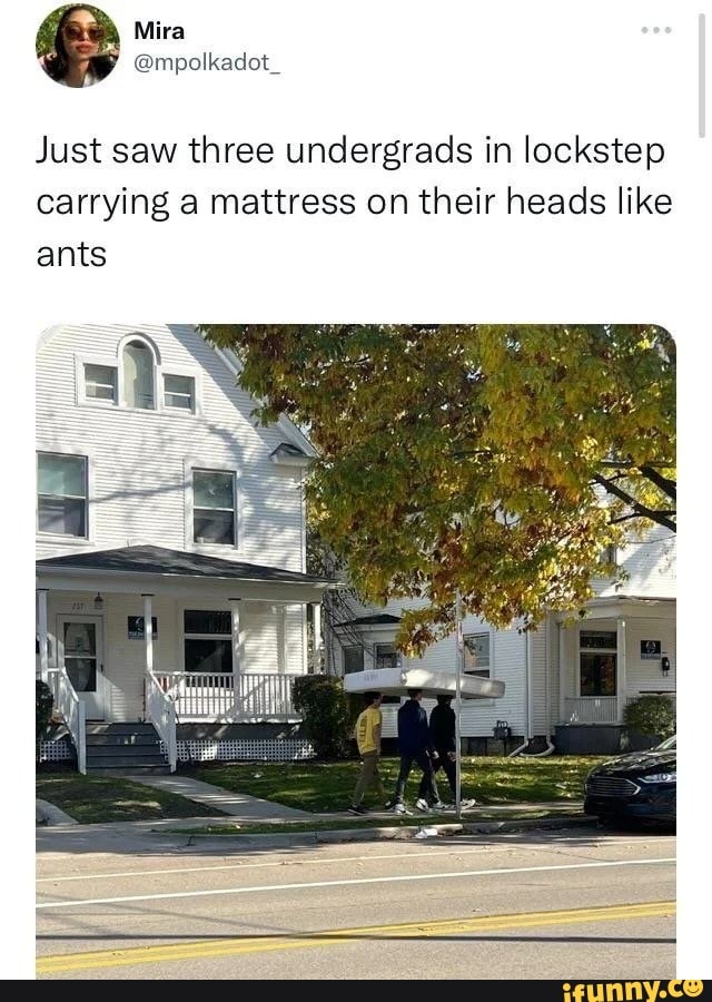 Mira Just saw three undergrads in lockstep carrying a mattress on their ...