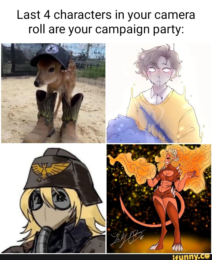 Last 4 Characters In Your Camera Roll Are Your Campaign Party IFunny