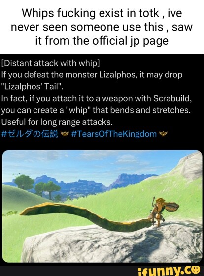 Totk memes. Best Collection of funny Totk pictures on iFunny