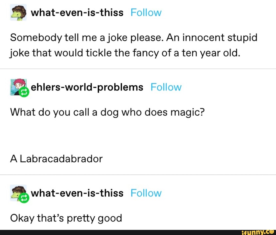 Labracadabrador memes. Best Collection of funny Labracadabrador ...