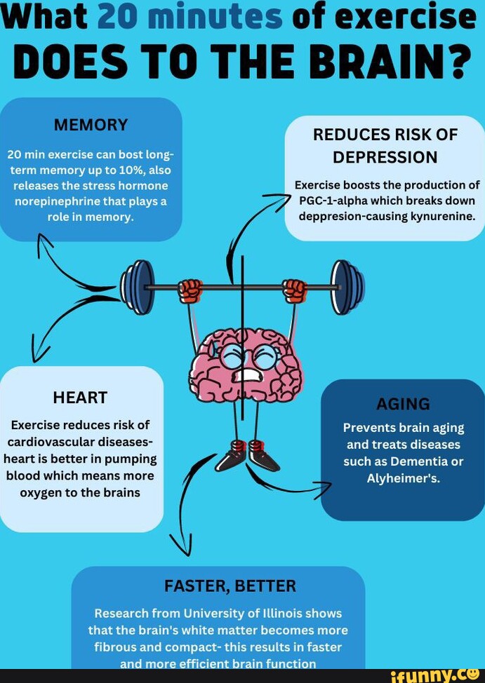 What 20 minutes of exercise DOES TO THE BRAIN? REDUCES RISK OF ...