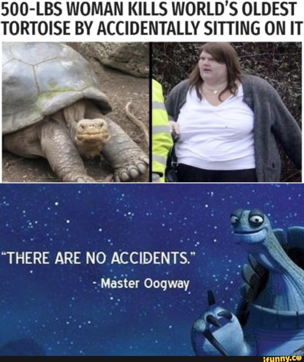 500-LBS WOMAN KILLS WORLD'S OLDEST TORTOISE BY ACCIDENTALLY SITTING ON ...