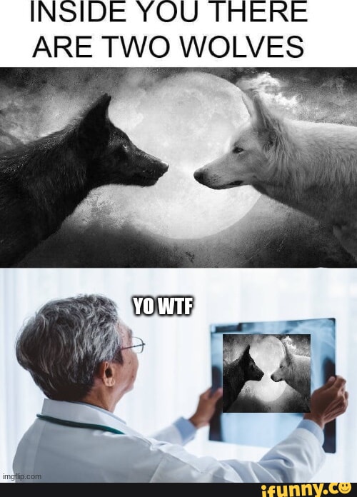 INSIDE YOU THERE ARE TWO WOLVES - iFunny