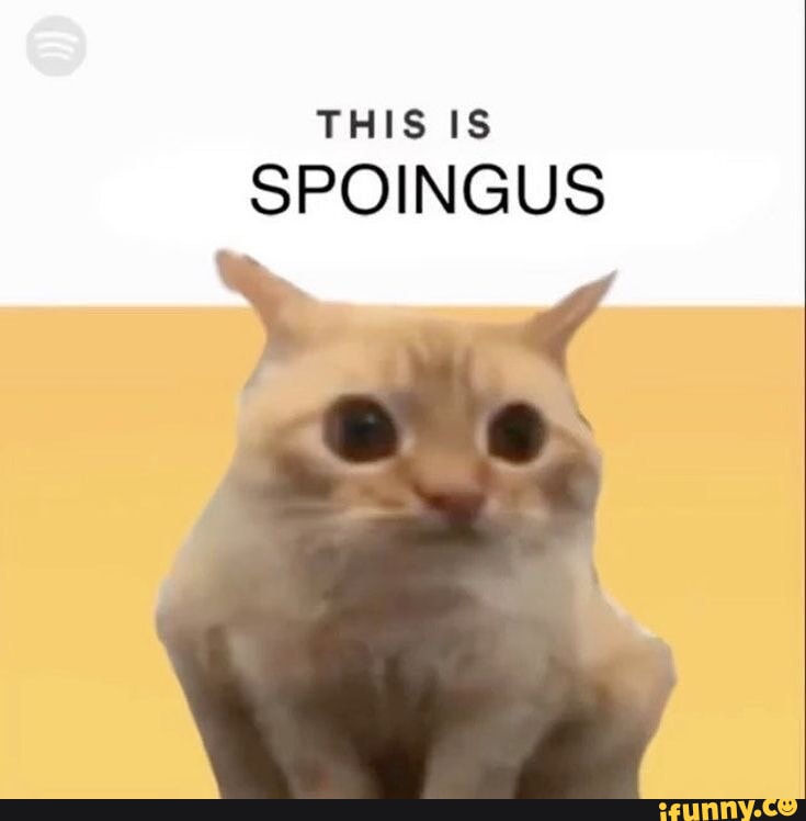 Spoingus memes. Best Collection of funny Spoingus pictures on iFunny