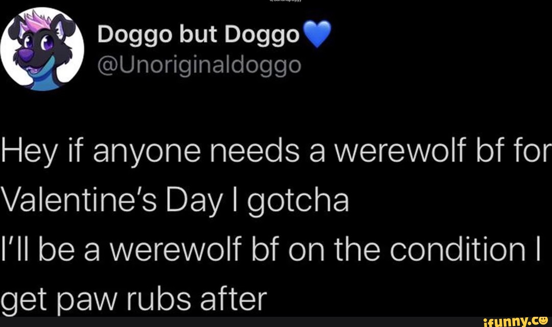 Doggo but Doggo @Unoriginaldoggo Hey if anyone needs a werewolf bf for ...
