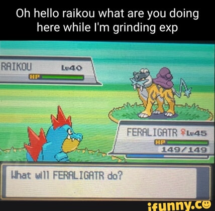 Raikou memes. Best Collection of funny Raikou pictures on iFunny