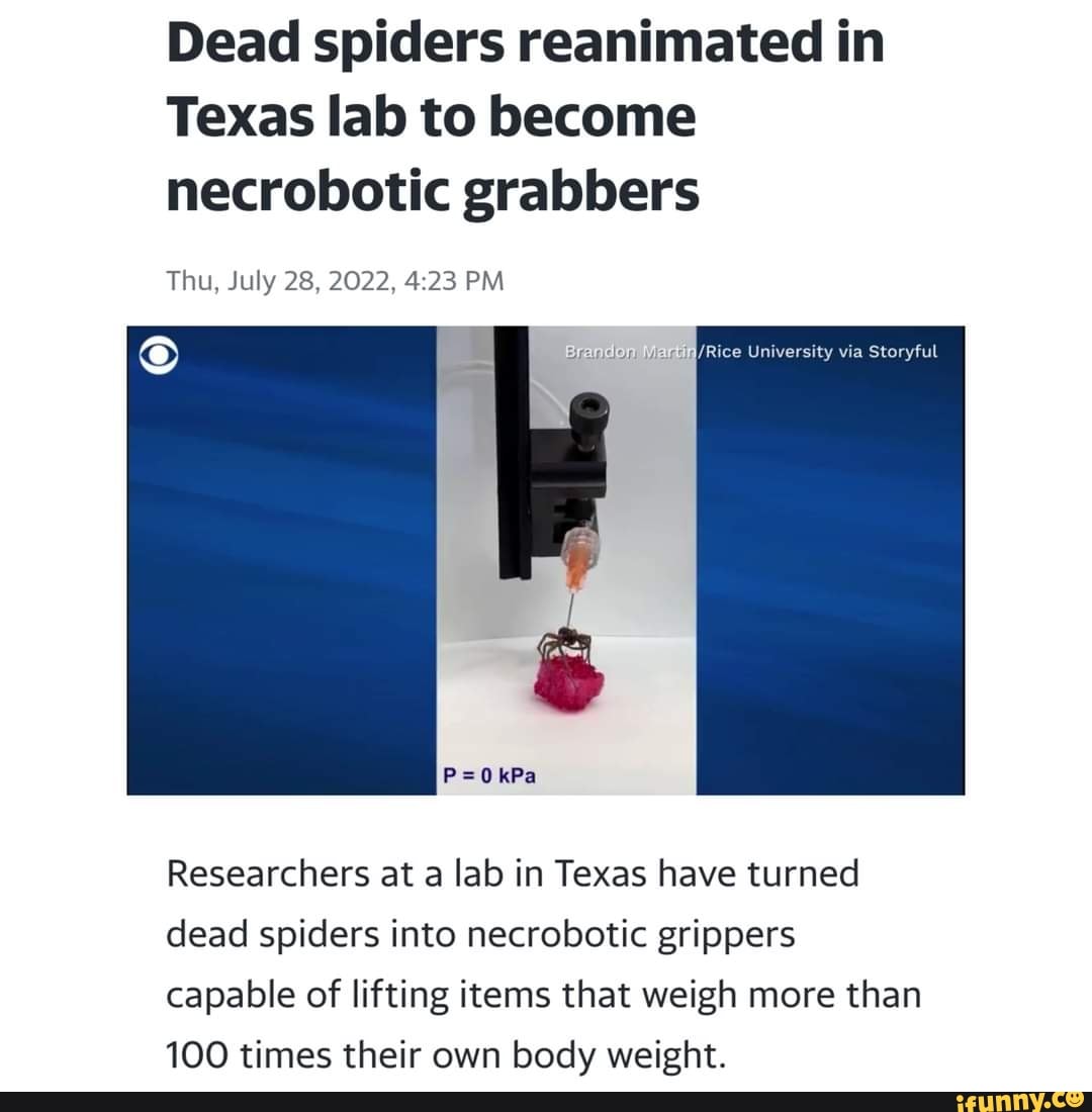 Grippers memes. Best Collection of funny Grippers pictures on iFunny