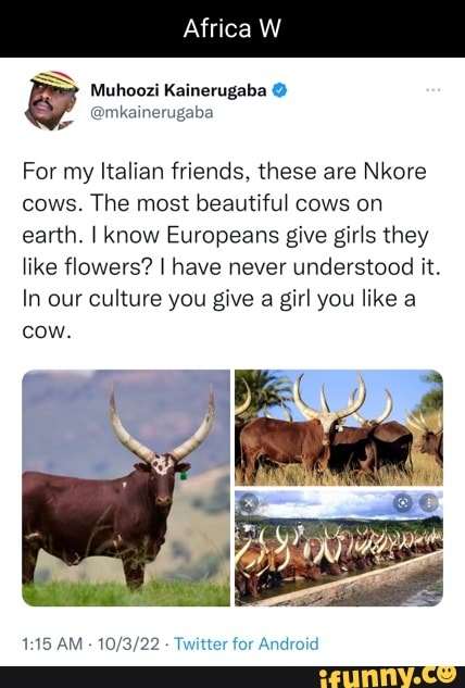 Muhoozi memes. Best Collection of funny Muhoozi pictures on iFunny