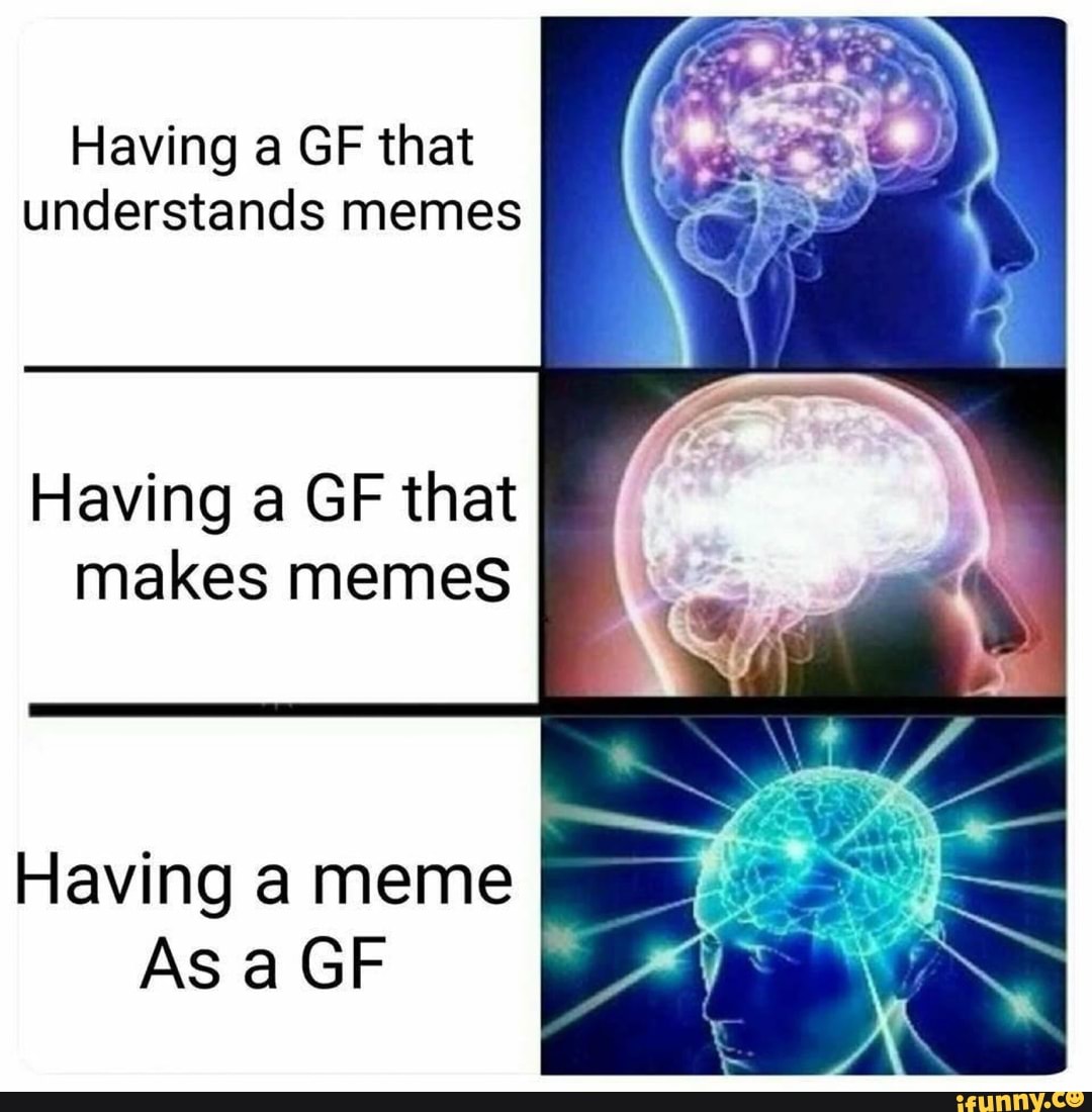 Having a GF that understands memes Having 3 GF that makes memes Having ...