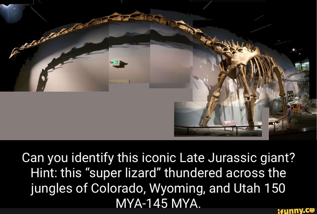 Can you identify this iconic Late Jurassic giant? Hint: this "super ...
