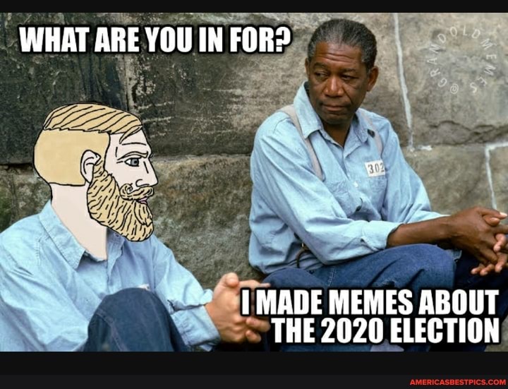 WHAT ARE YOU IN FOR? MADE MEMES ABOUT THE 2020 ELECTION - America’s ...