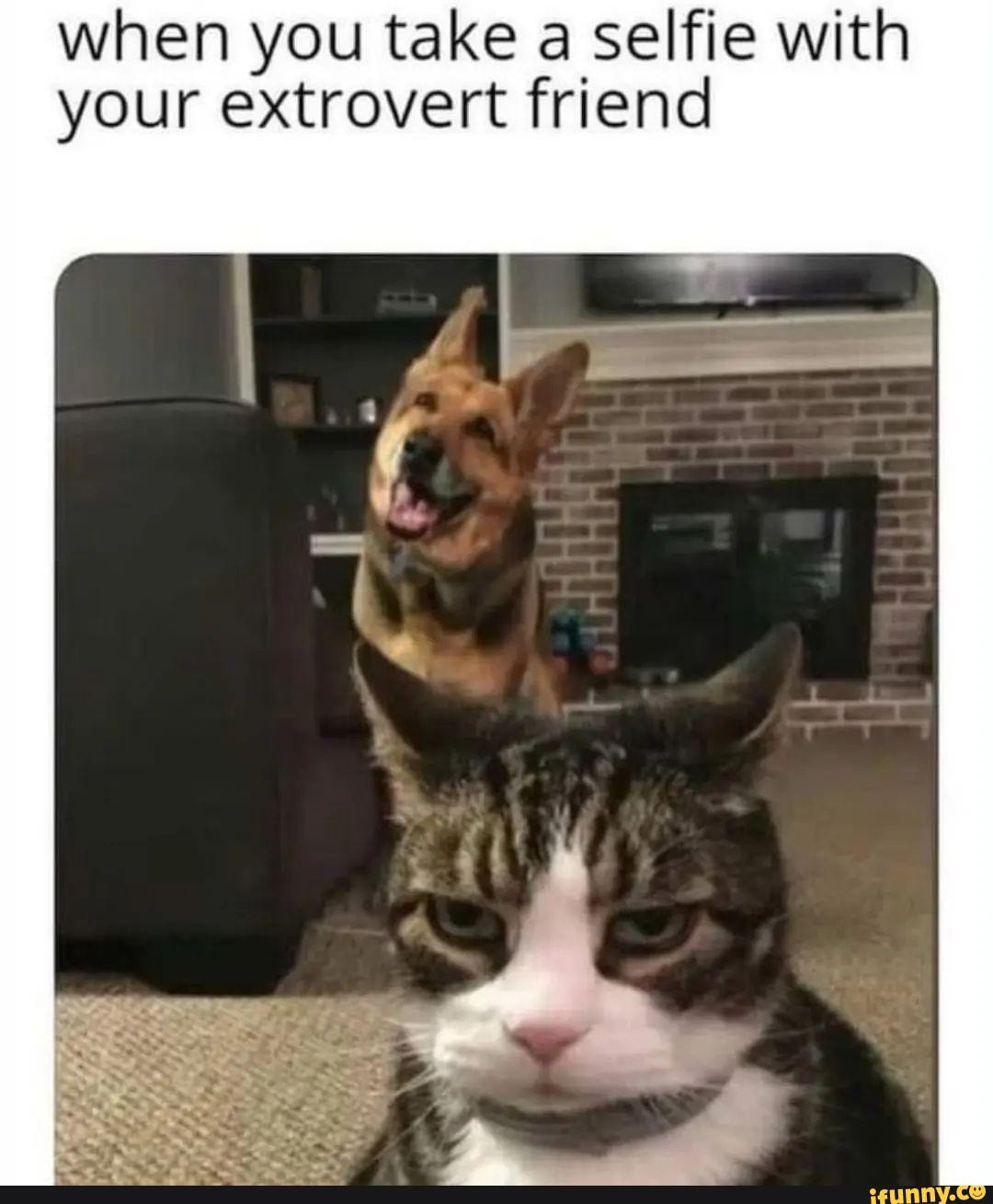 When you take a selfie with your extrovert friend - iFunny