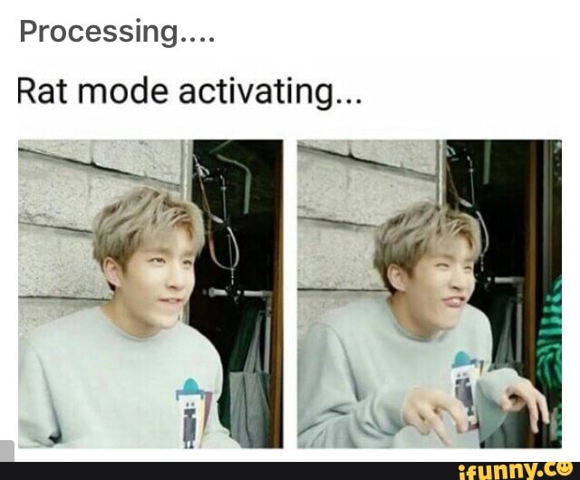 Processing.... Rat mode activating... - iFunny