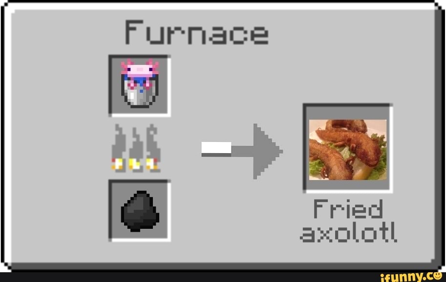 Furnace Fried axolotl - iFunny