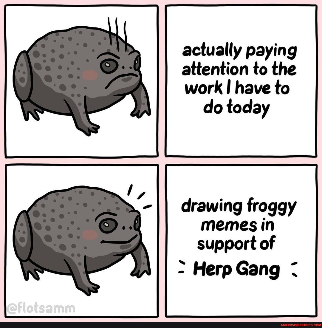 @flotsamm made some fantasticlly froggy memes and fan art to celebrate ...