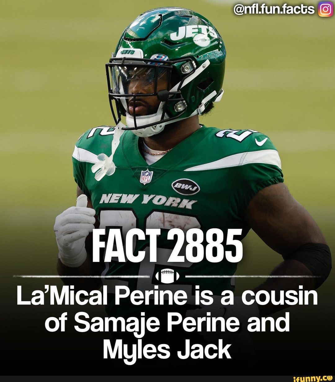 Perine memes. Best Collection of funny Perine pictures on iFunny