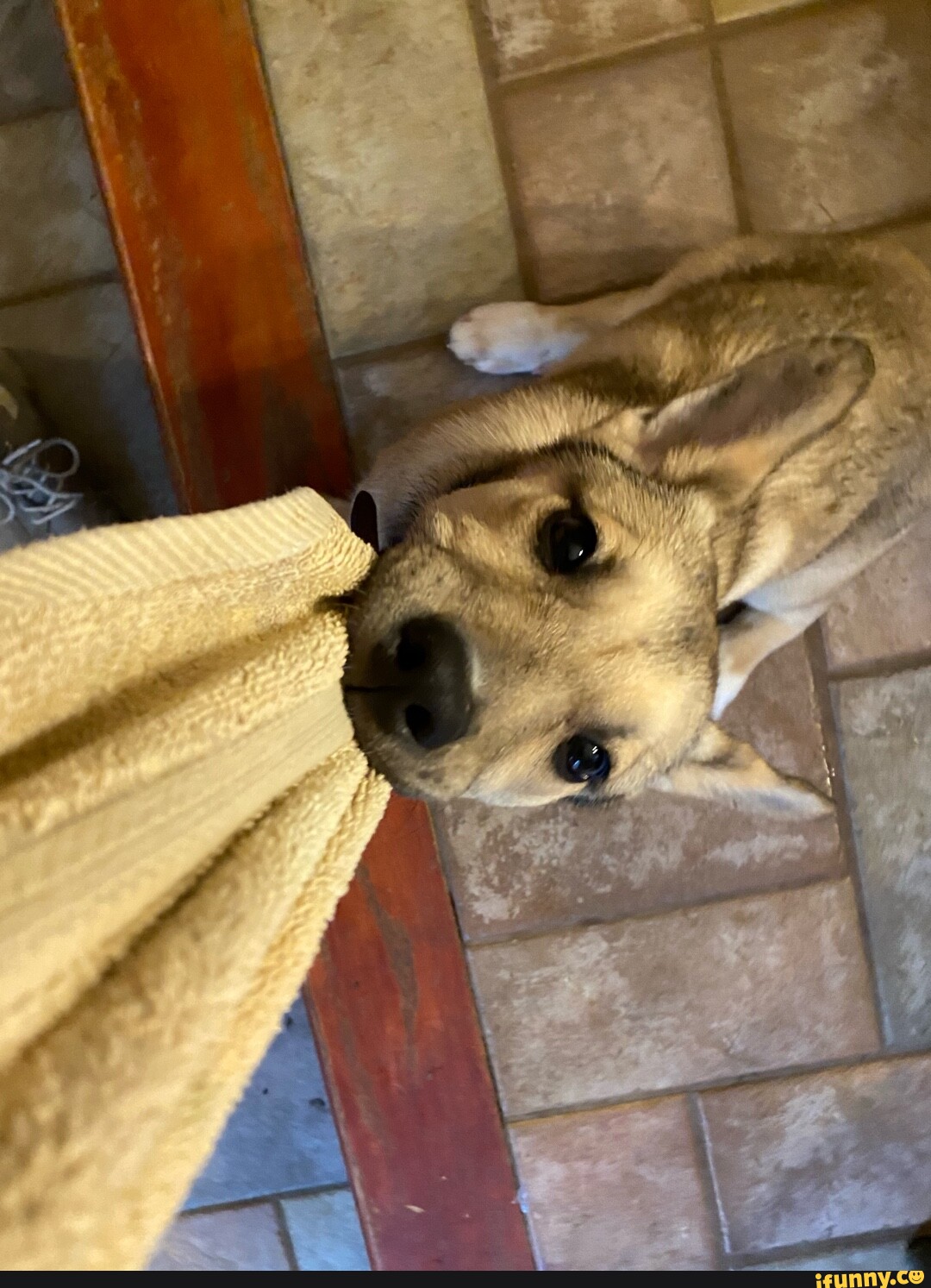 Dopey memes. Best Collection of funny Dopey pictures on iFunny