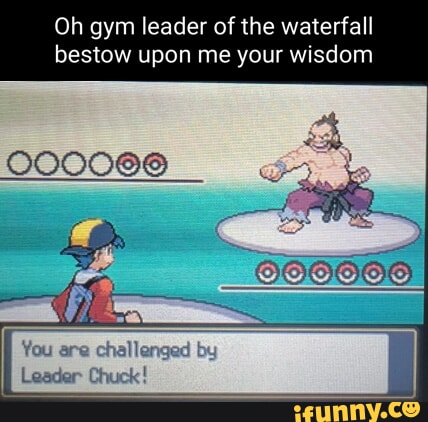 Oh gym leader of the waterfall bestow upon me your wisdom - iFunny