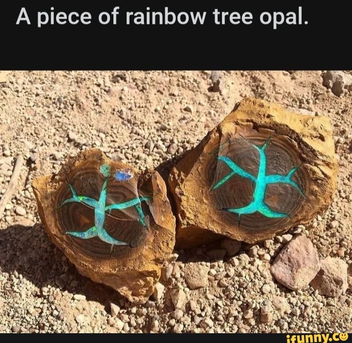 Opal memes. Best Collection of funny Opal pictures on iFunny