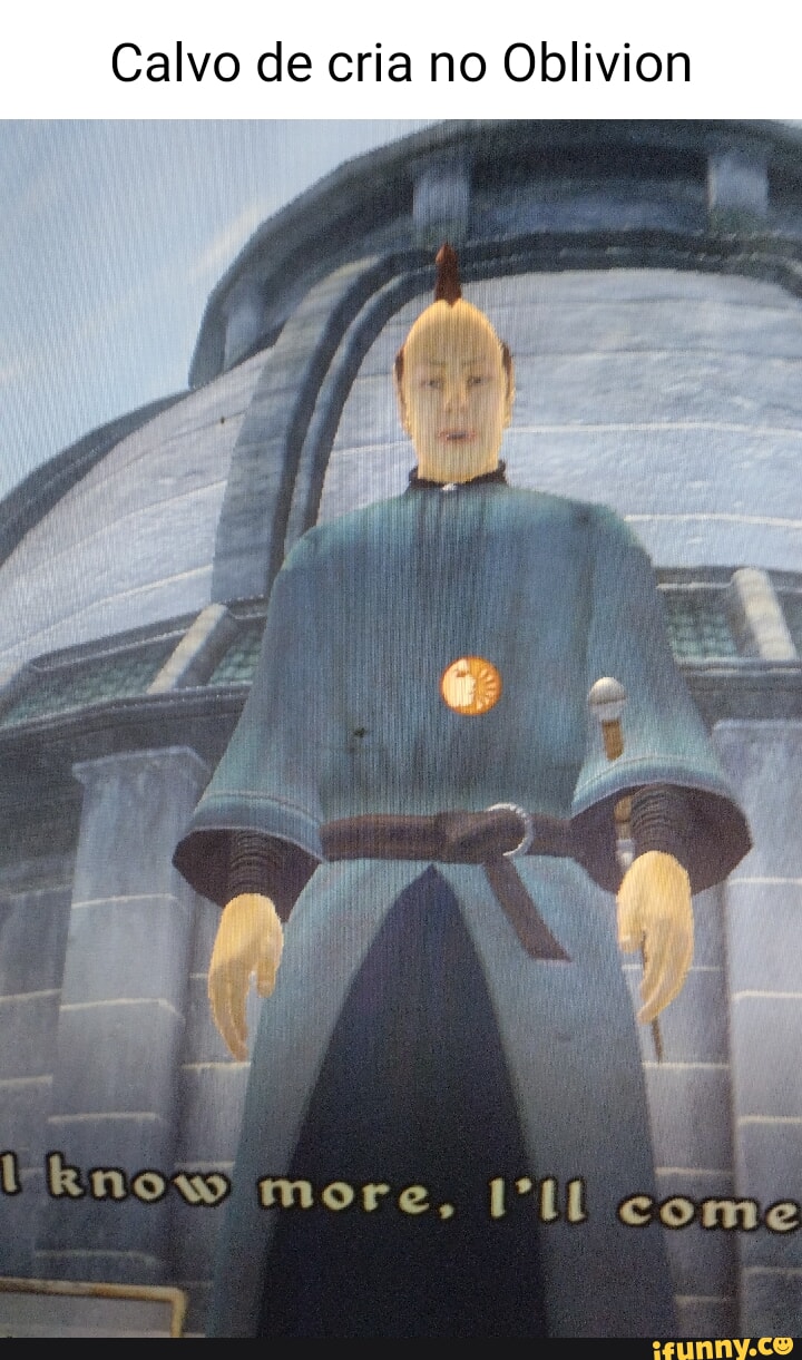 Funny Oblivion Memes