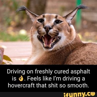 Hovercraft memes. Best Collection of funny Hovercraft pictures on iFunny