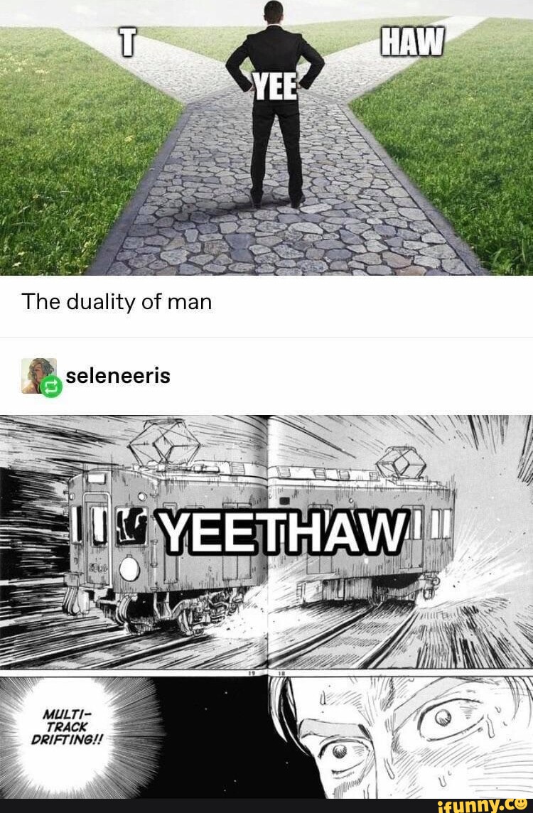 The duality of man seleneeris TRACK DRIFTING!! - iFunny