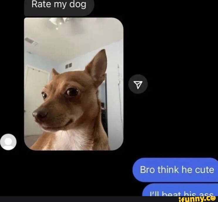 Rate my dog Bro think he cute Til Raat hie ace - iFunny
