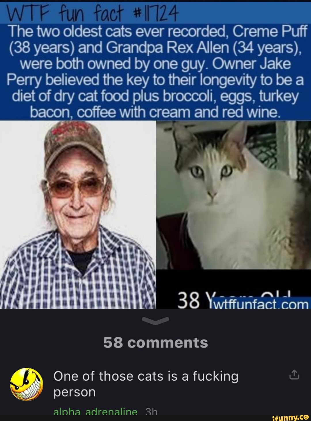 The two oldest cats ever recorded, Creme Puff (38 years) and Grandpa ...