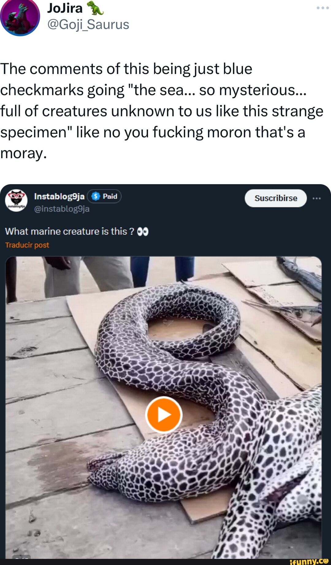 Specimen memes. Best Collection of funny Specimen pictures on iFunny