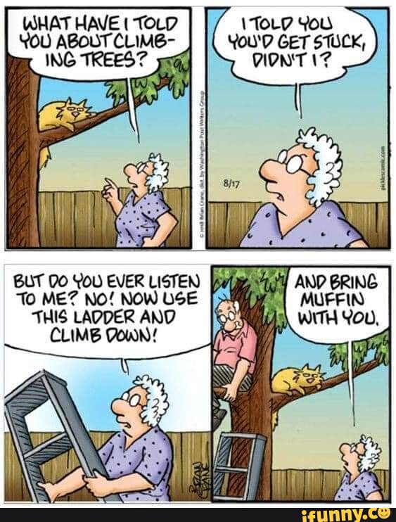 Ladder memes. Best Collection of funny Ladder pictures on iFunny