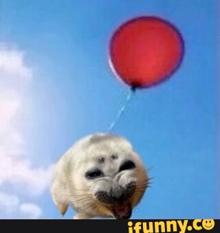 Surface memes. Best Collection of funny Surface pictures on iFunny