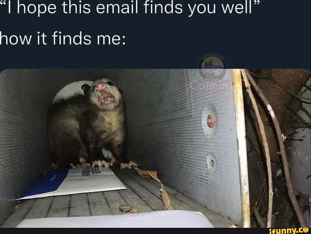 Hope this email finds you well" how it finds me: - iFunny