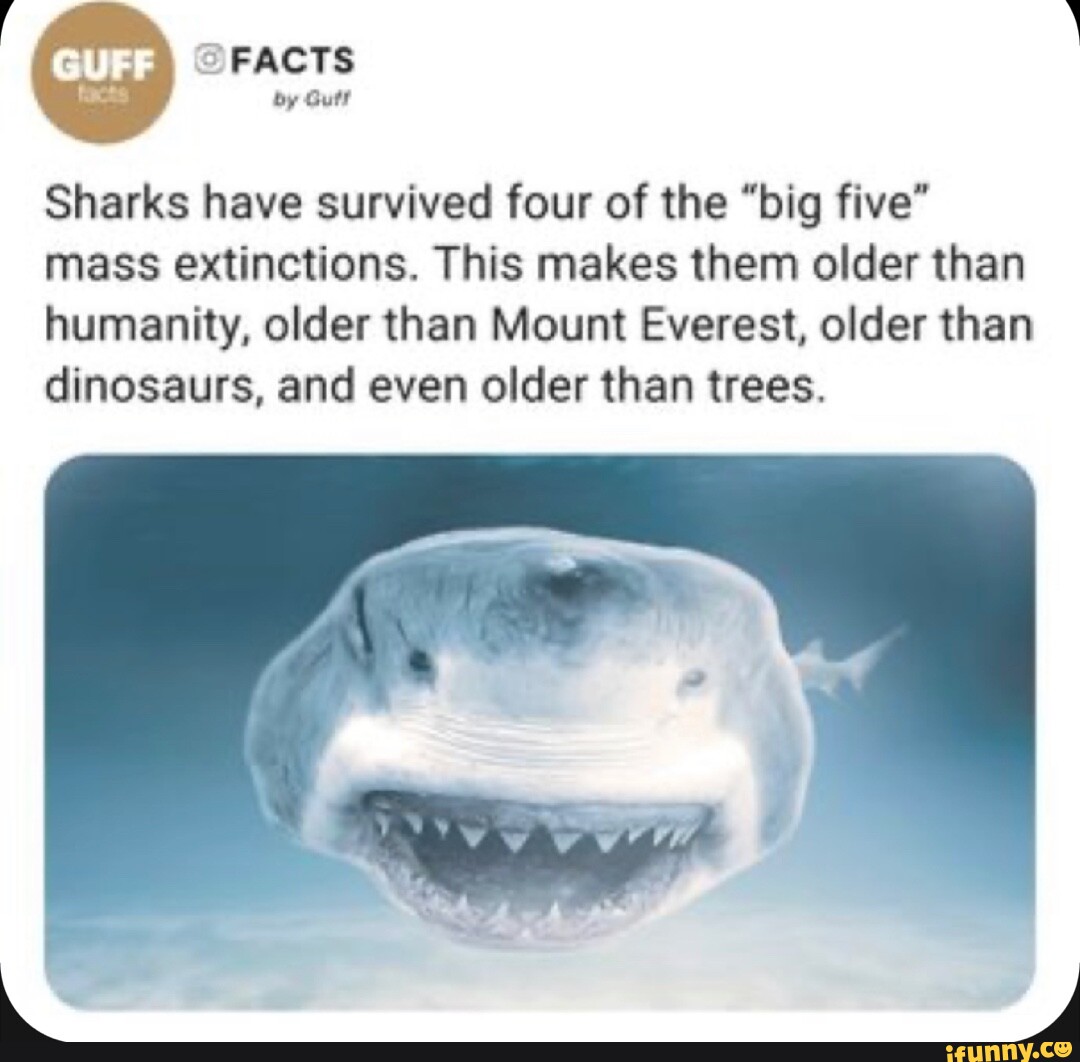 Extinctions memes. Best Collection of funny Extinctions pictures on iFunny