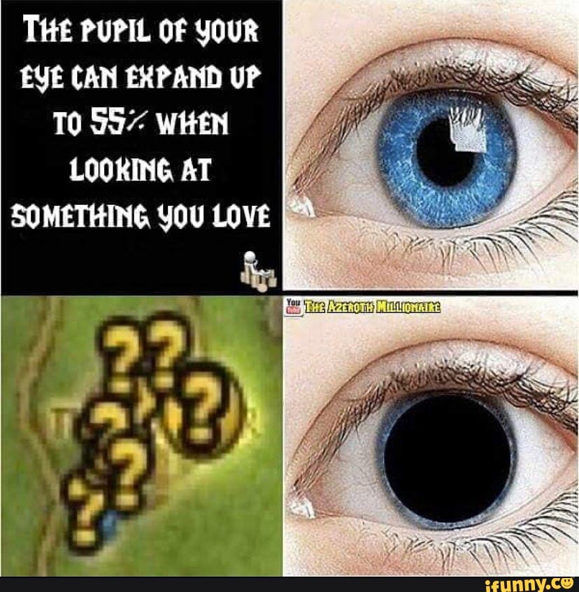 THE PUPIL OF YOUR EYE CAN EXPAND UP TO 55~ wittn LOOKING AT SOMETHING ...