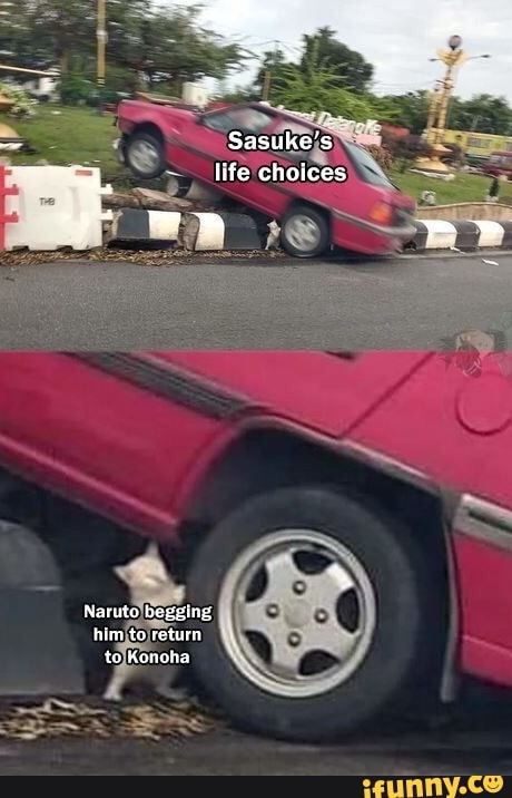 Cetarn memes. Best Collection of funny Cetarn pictures on iFunny