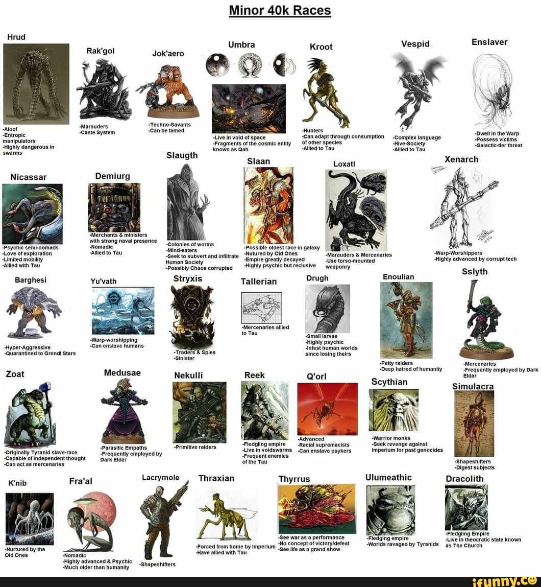 Vespid memes. Best Collection of funny Vespid pictures on iFunny