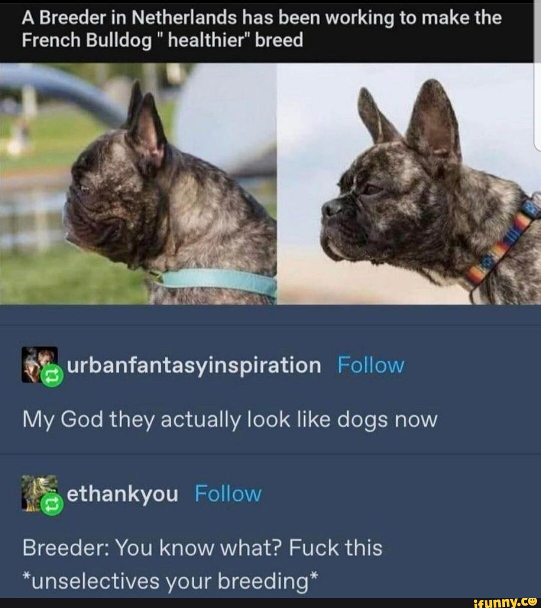 Breeder memes. Best Collection of funny Breeder pictures on iFunny