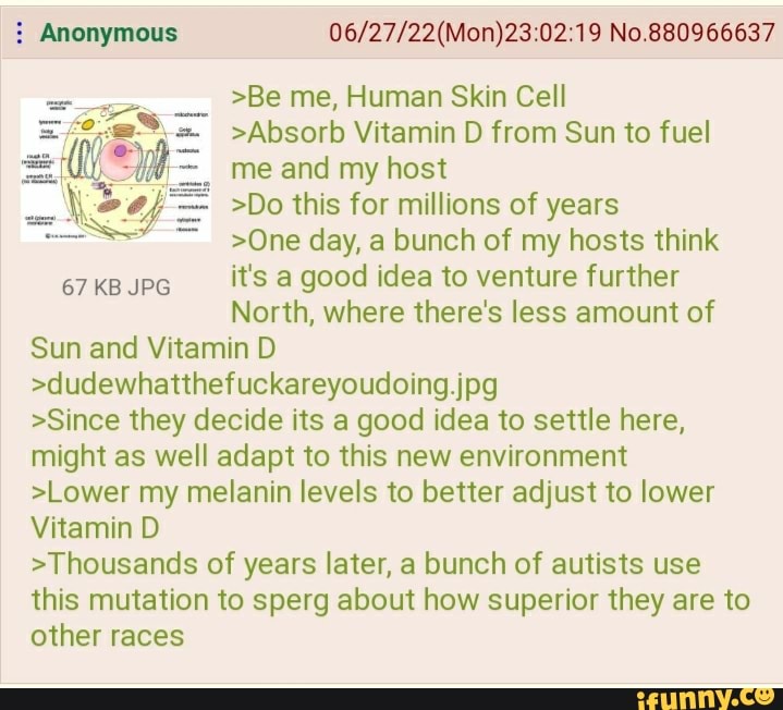 Vitamin memes. Best Collection of funny Vitamin pictures on iFunny