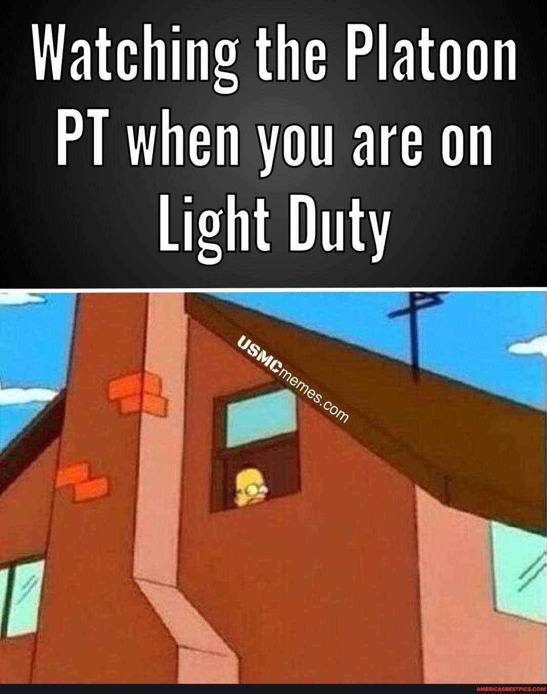 Meme 1200 - Watching the Platoon PT - Watching the Platoon PT when you ...